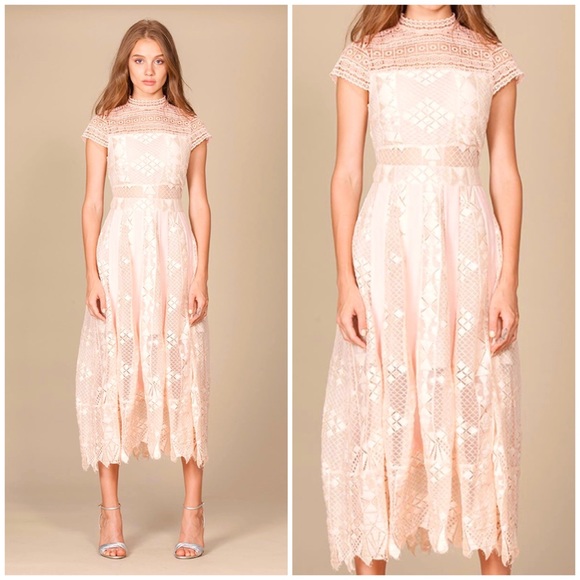 foxiedox | Dresses | Foxiedox Blush Lace Art Deco Midi Dress Xs Nwt ...